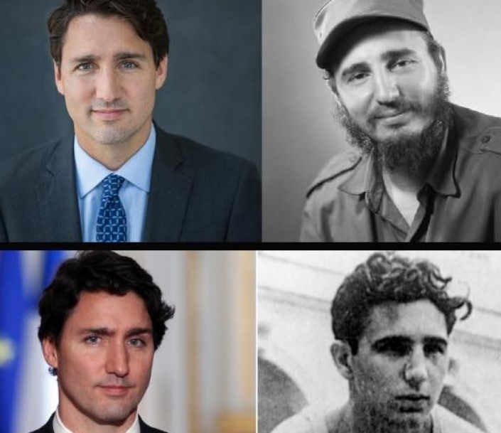 7 lợi ích sức khỏe đáng kinh ngạc của cây Bồ Công Anh như một vị thuốc ...